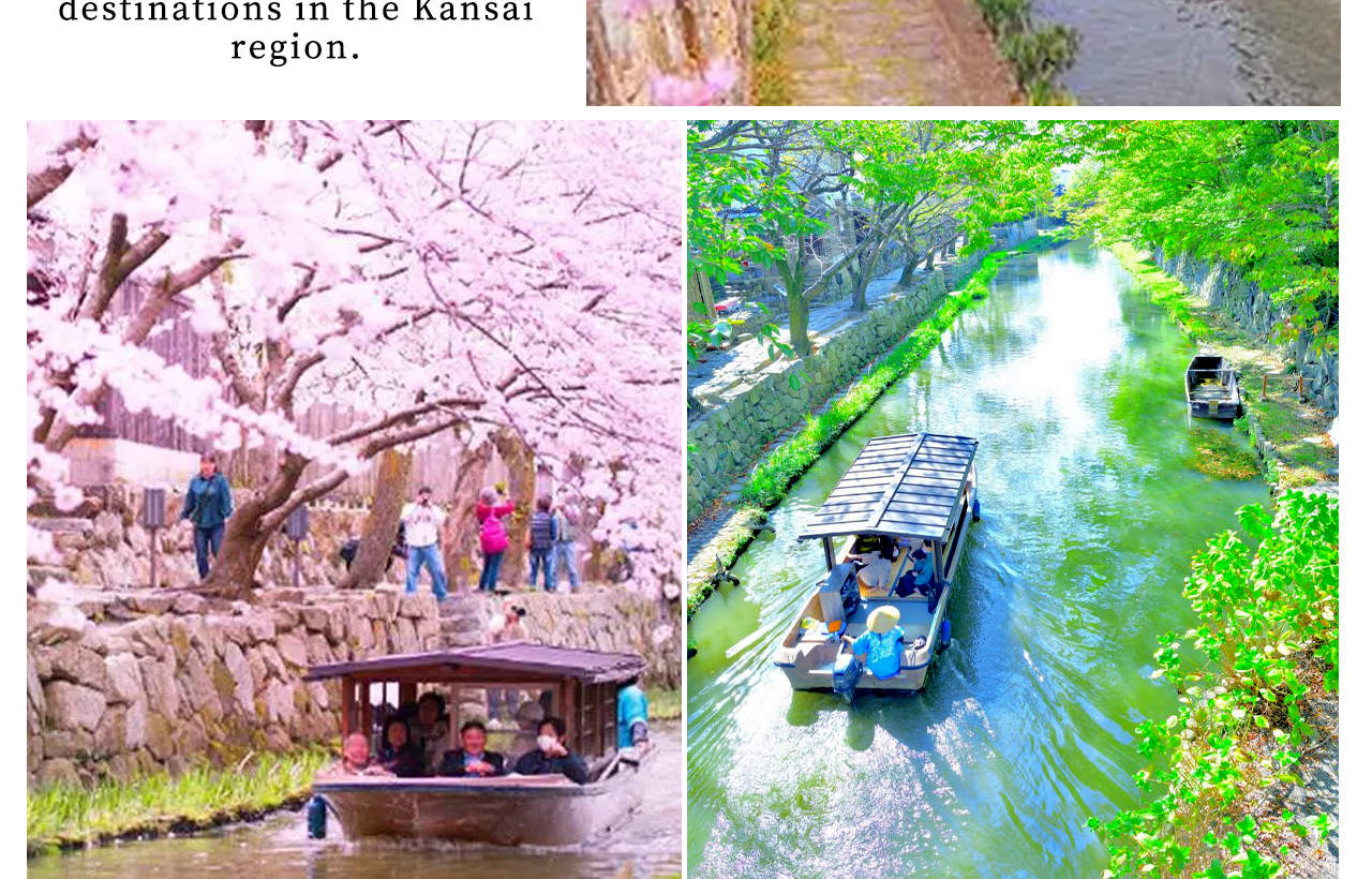 [Sakura Season Limited] Miho Museum × Mii-dera Temple Night Cherry ...